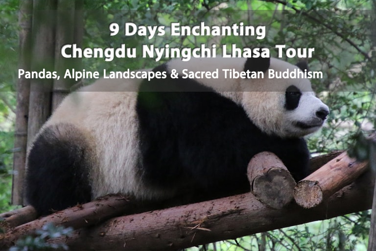 Nyingchi Tours | Nyingchi Peach Blossom Festival Tours